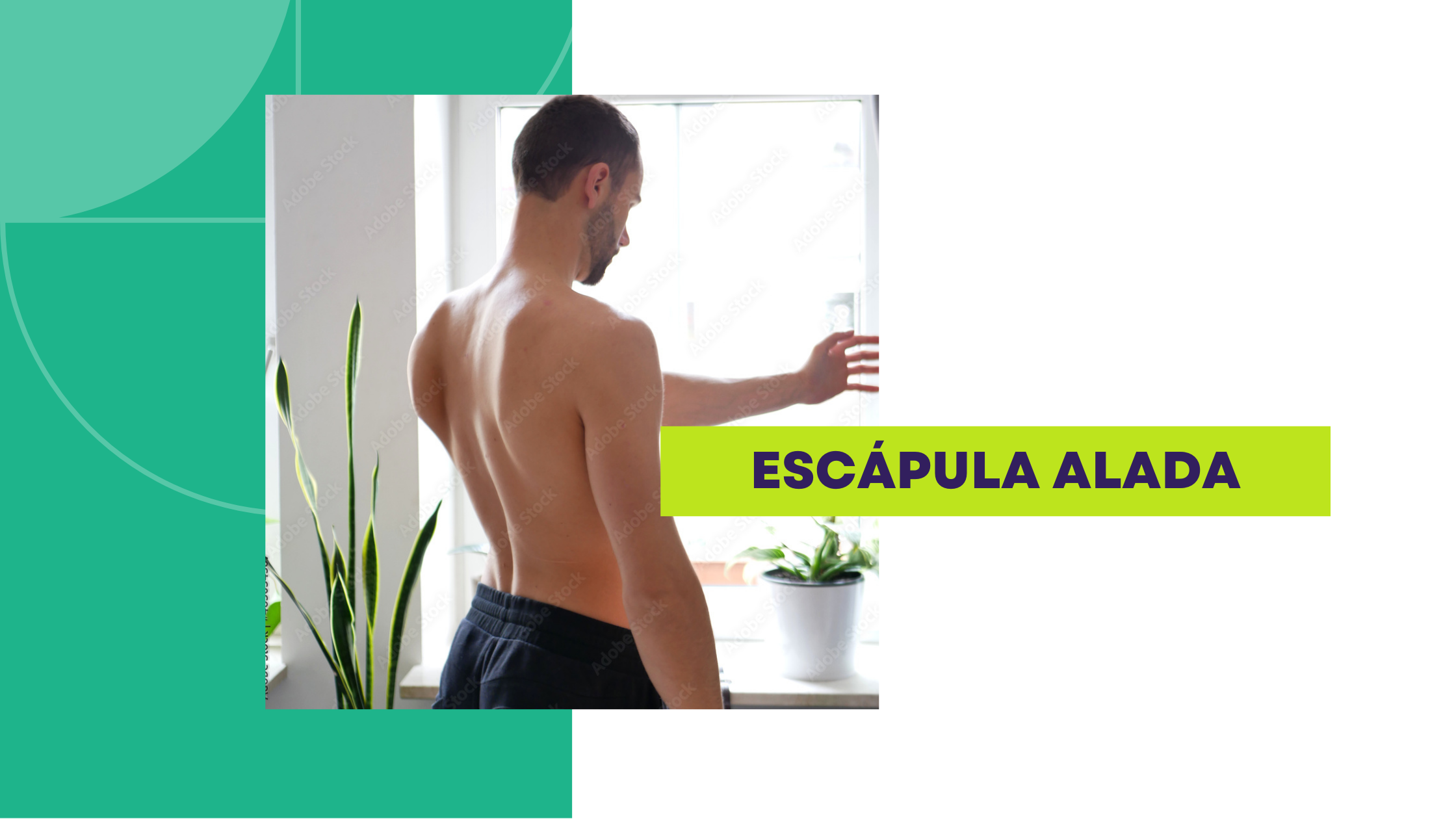 Escápula alada: quais as causas? » Blog